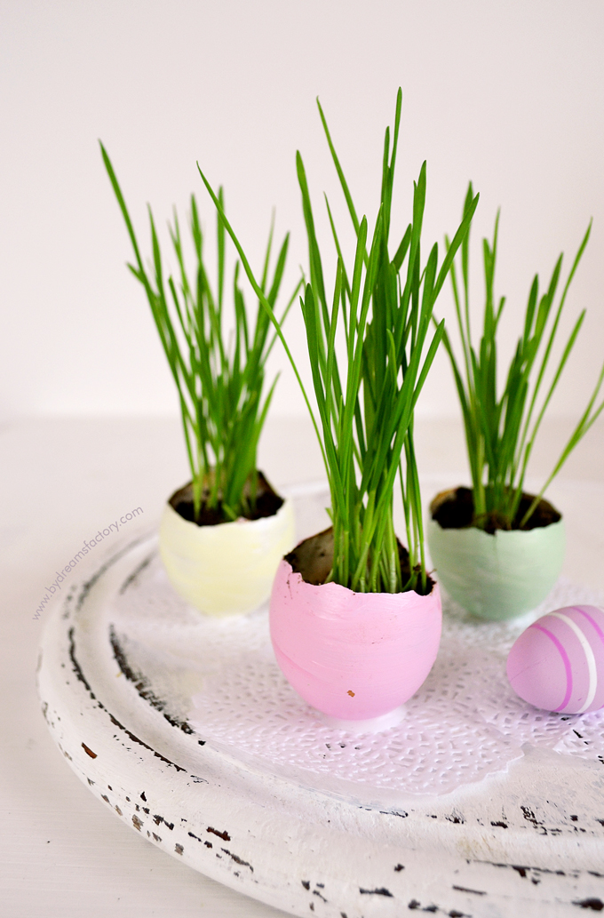 Easter egg planters for wheatgrass (in pretty pastels)